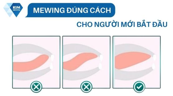 Hướng dẫn tập mewing đúng cách cho người mới bắt đầu